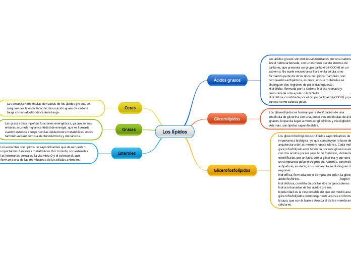 Los lípidos - Mind Map